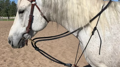 Clinton Anderson - Once Bitten Twice Shy - Cowgirl Magazine