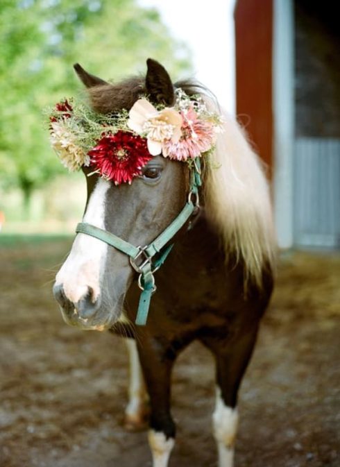 Horses & Flowers: Photography Inspiration - COWGIRL Magazine