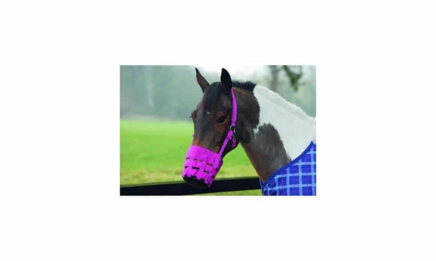 Grazing Muzzles Save The Day - COWGIRL Magazine