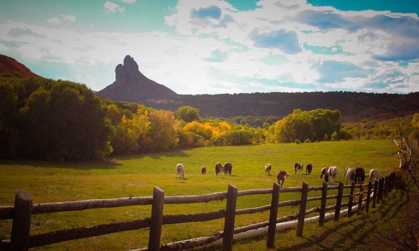 Adventures on Horseback: Vacations of a Lifetime - COWGIRL Magazine