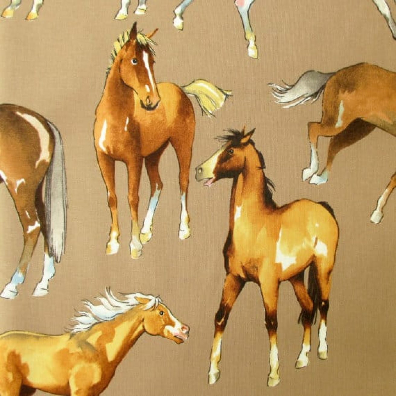 Find the Perfect Western Fabric for Your Next DIY - COWGIRL Magazine