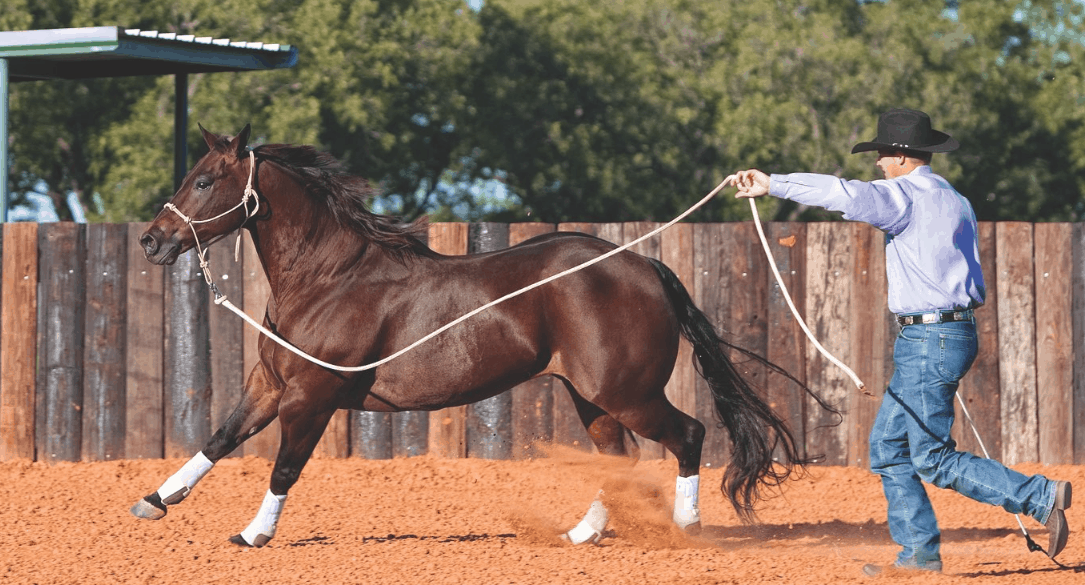 Ask Clinton Anderson | Cowgirl Magazine