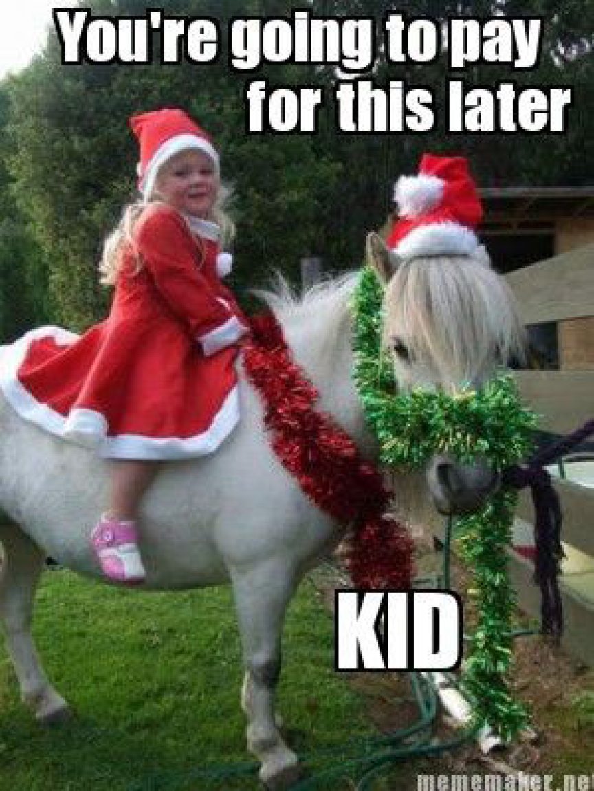 'Tis The Season For Funny Horse Memes - COWGIRL Magazine