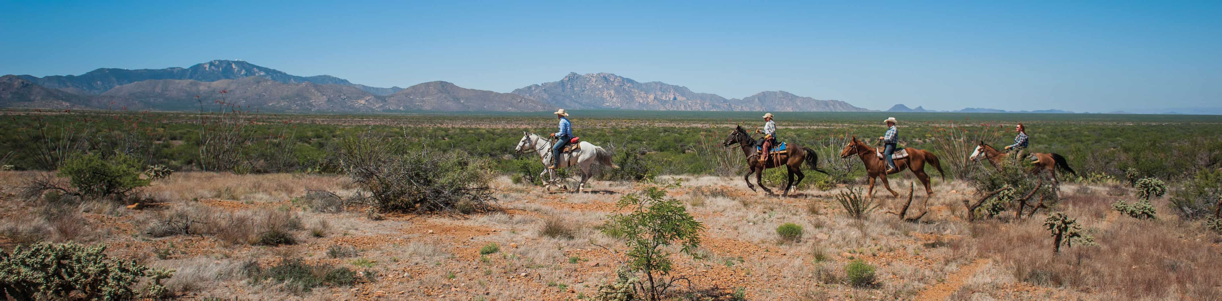 Gems Of The West - COWGIRL Magazine