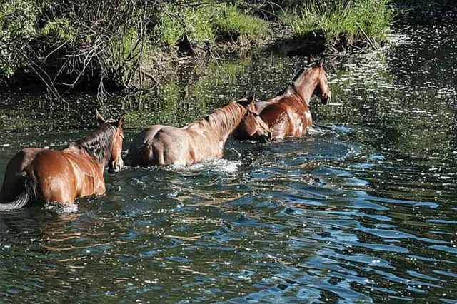 Gems Of The West - COWGIRL Magazine
