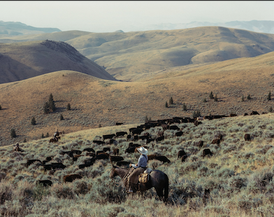 The Seven Sisters Of Idaho's Rugged Rangeland